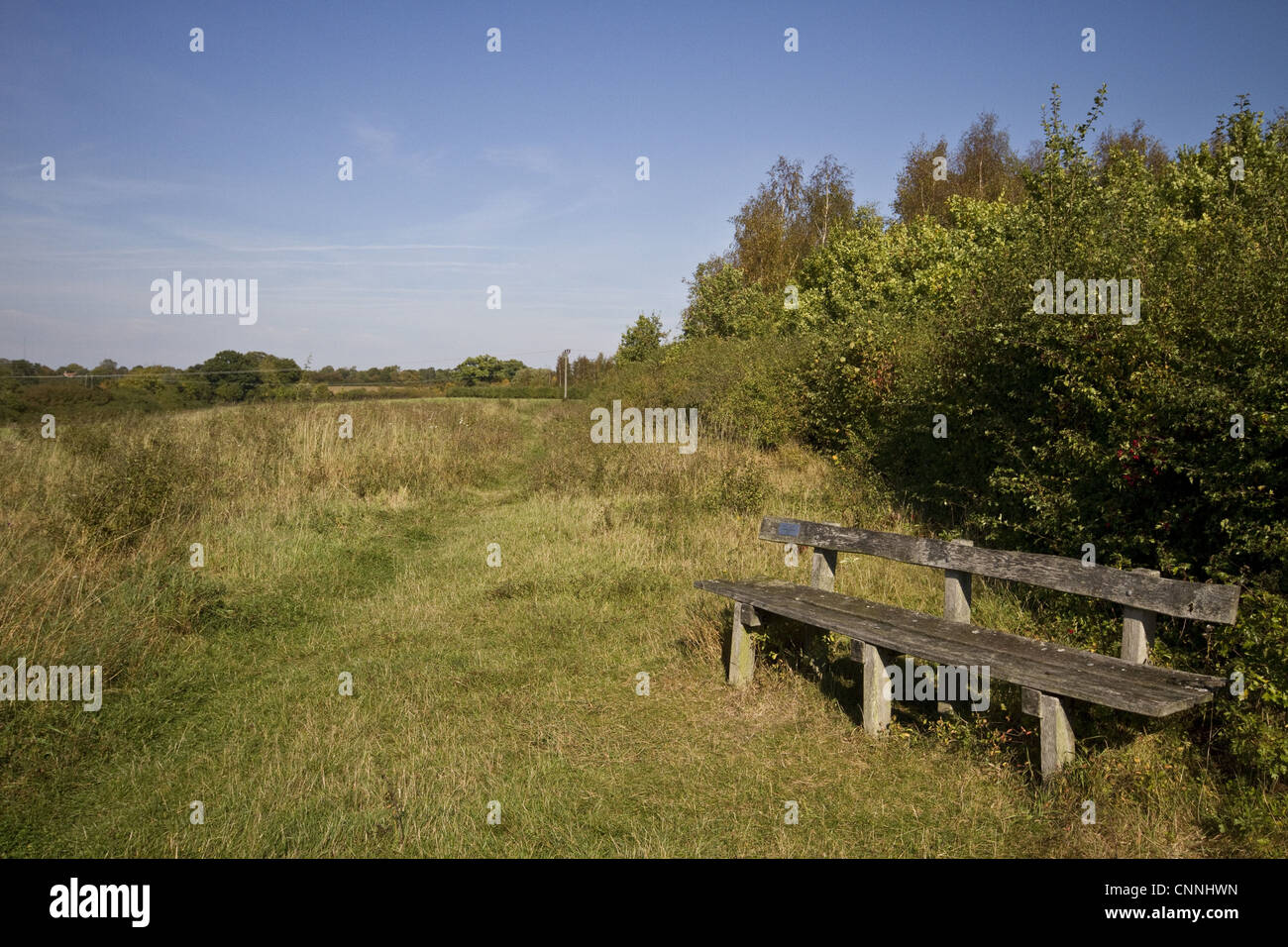 Pound farm is 148 areas of woodland and meadow that was planted with a ...