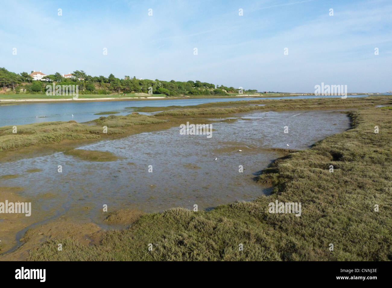 Mud flats at Ria Formosa Nature park, Quinta do Lago, Portugal Stock ...