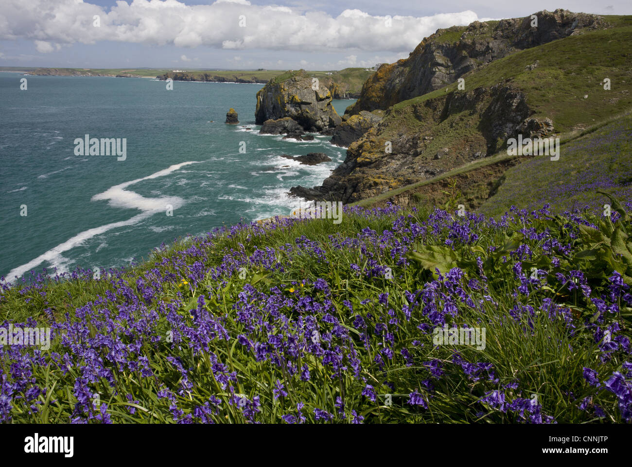 Common mullion hi-res stock photography and images - Alamy