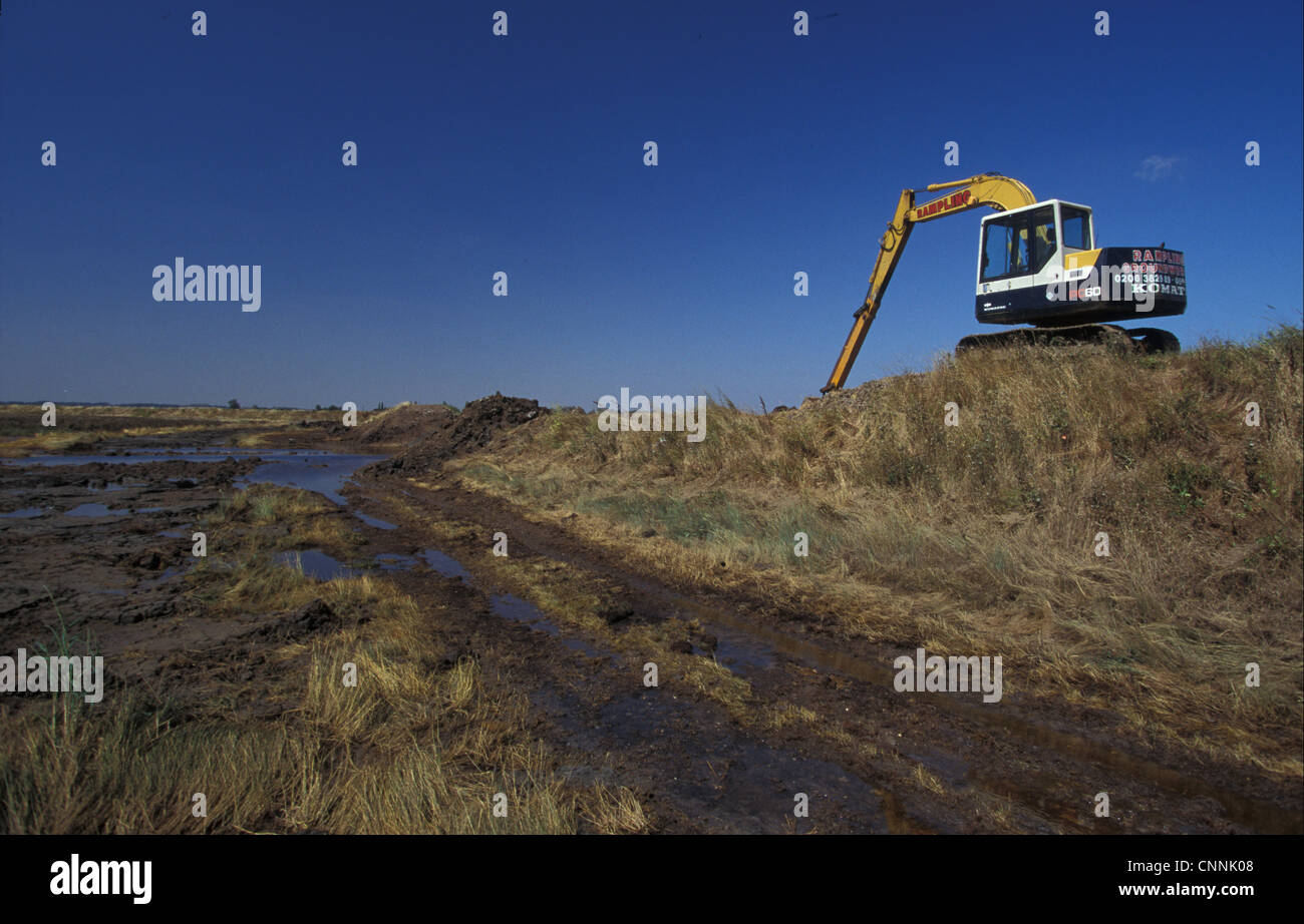 Digger working on the sea wall at Tollesbury - Essex Stock Photo - Alamy