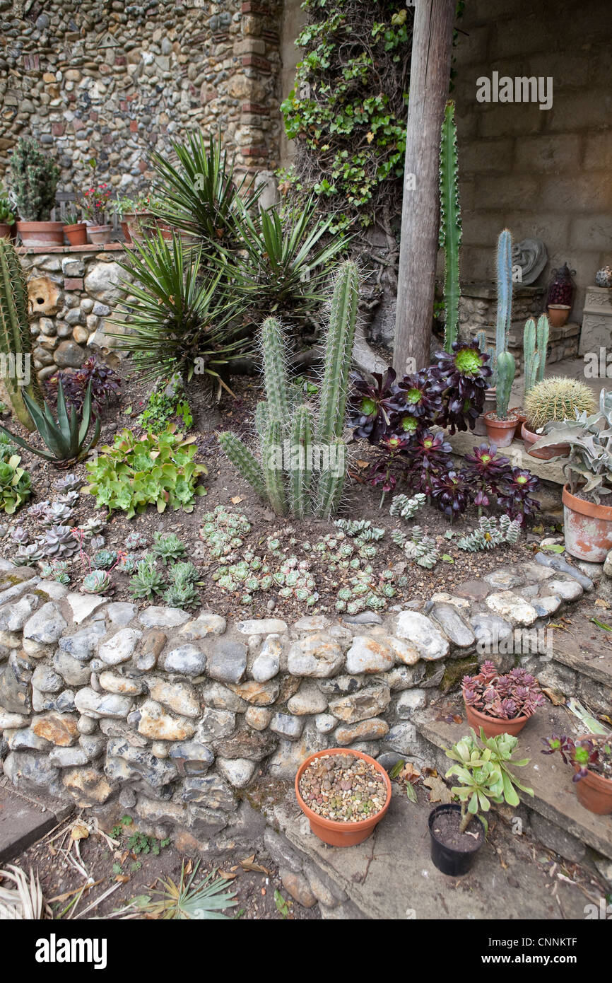 Xerophytic hi-res stock photography and images - Alamy