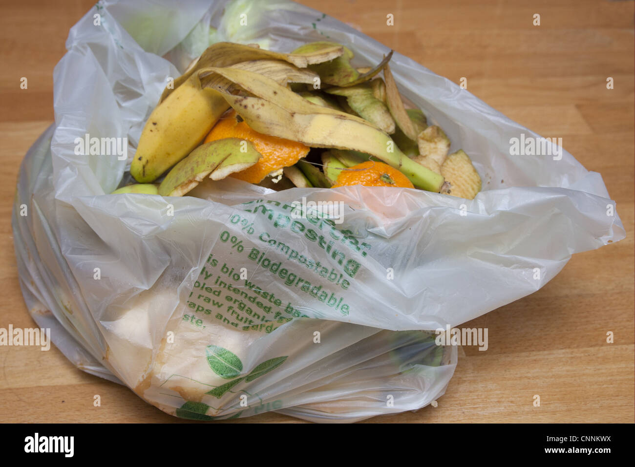 Biodegradable bag with fruit peelings for compost heap, England Stock ...