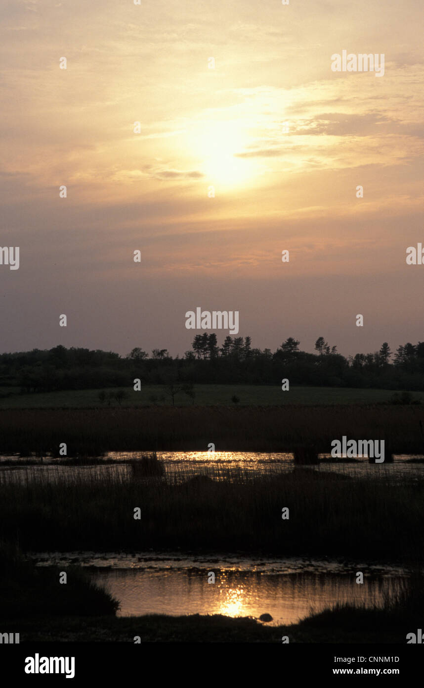 Dingle marsh hi-res stock photography and images - Alamy