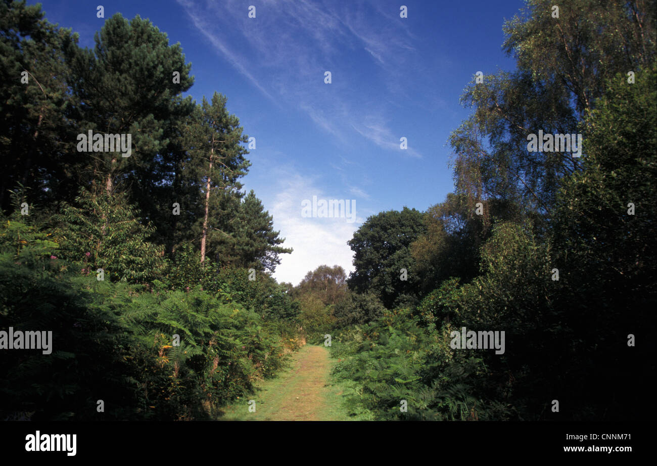 How hill trust hi-res stock photography and images - Alamy