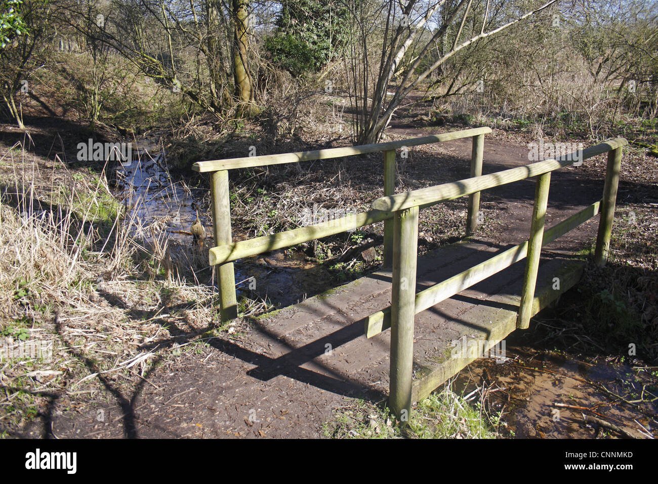 Wooden footbridge over stream in deciduous woodland habitat, Lackford ...