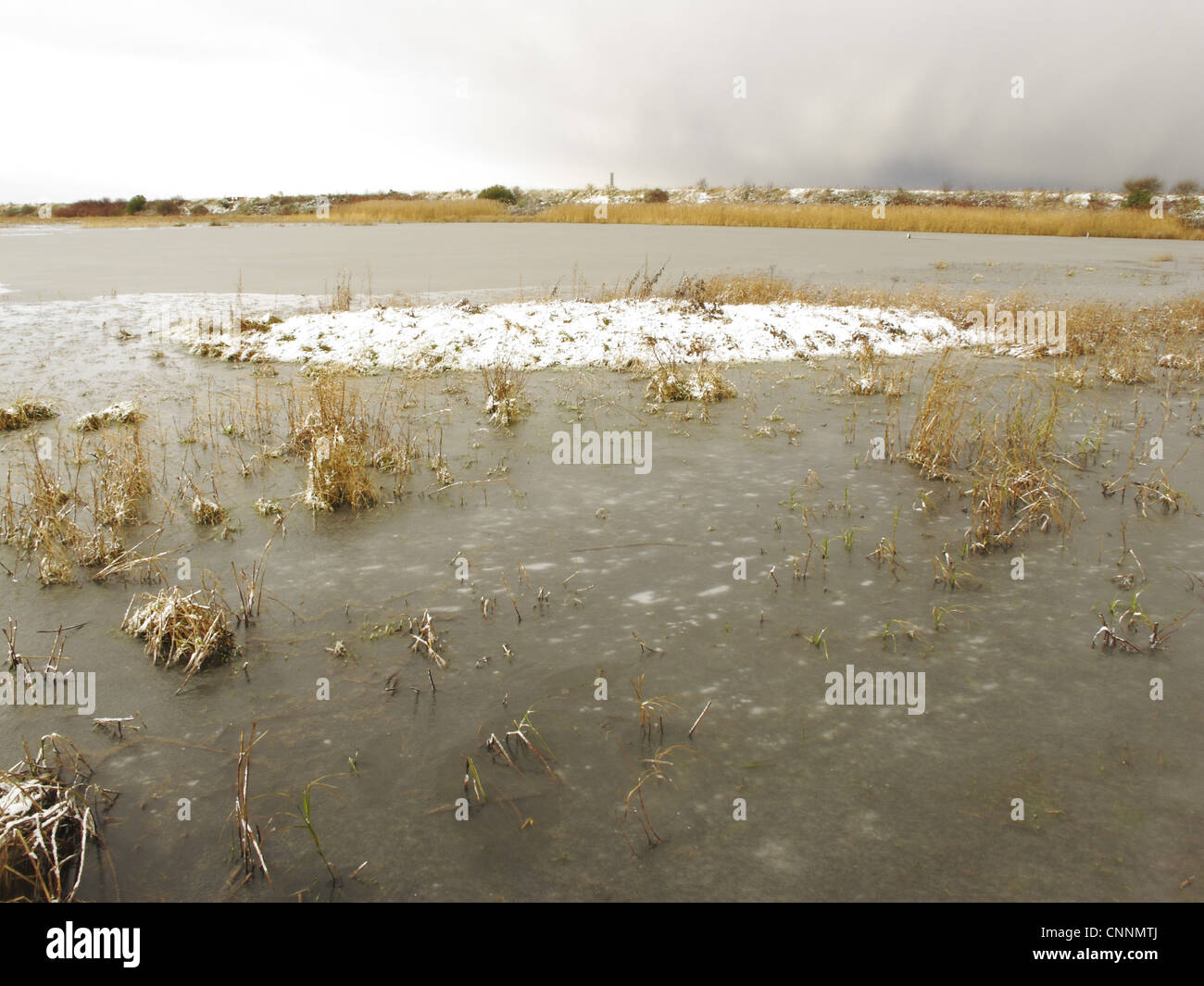 Rspb Marshside Nature Reserve High Resolution Stock Photography and ...