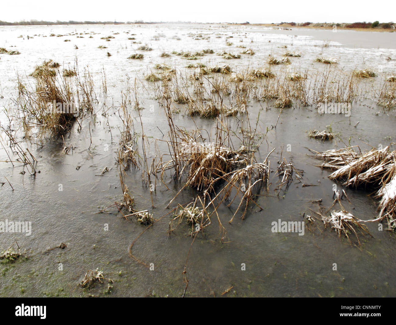 Rspb Marshside Nature Reserve High Resolution Stock Photography and ...