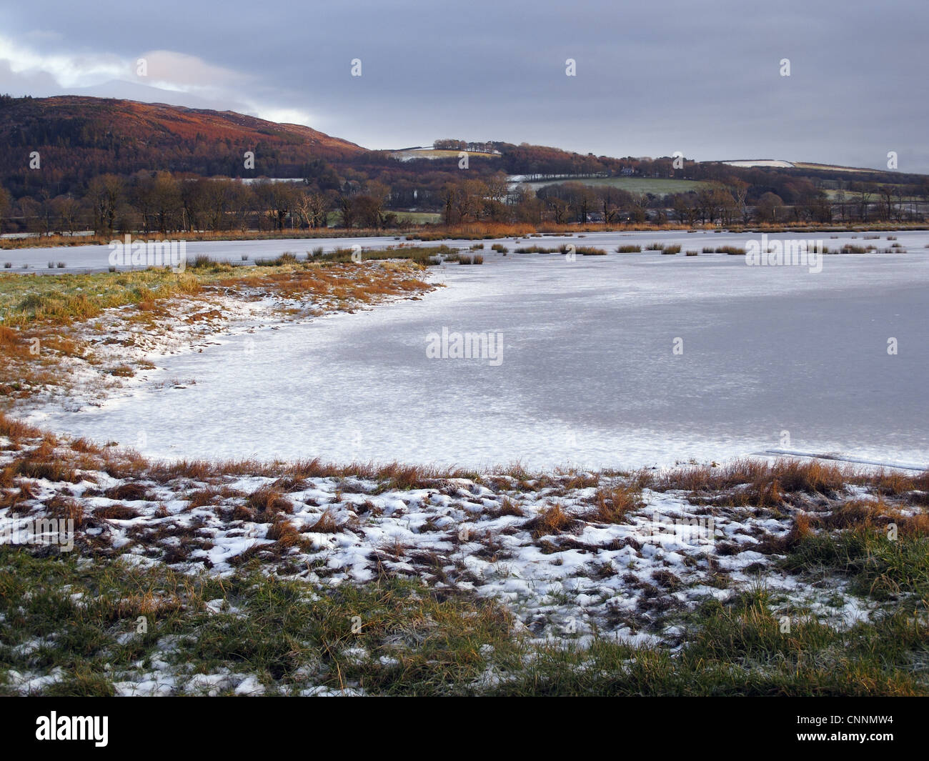 Mersehead Rspb Reserve High Resolution Stock Photography and Images - Alamy
