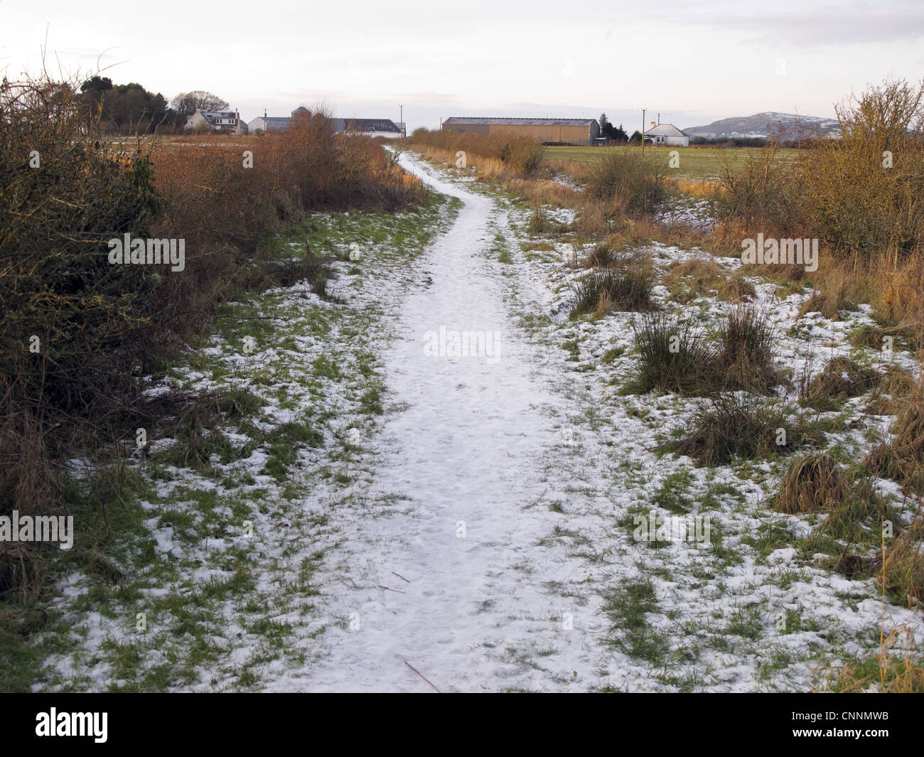 Mersehead Rspb Reserve High Resolution Stock Photography and Images - Alamy