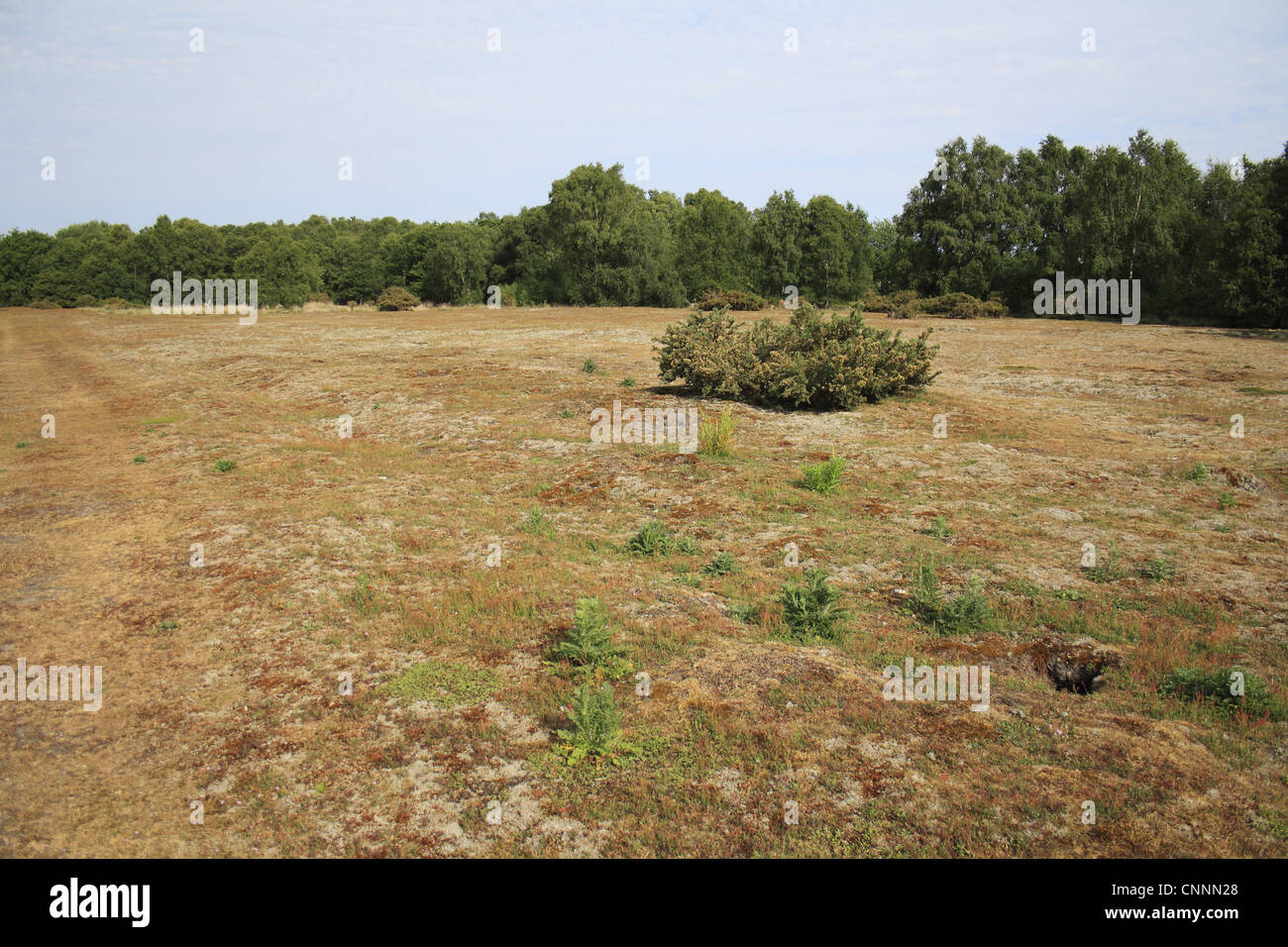 Acid grasslands hi-res stock photography and images - Alamy