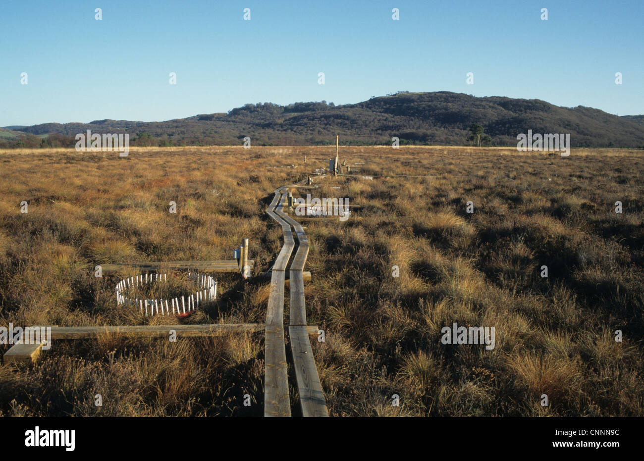 Lowland raised mire habitat site monitoring effects CO2 levels ...
