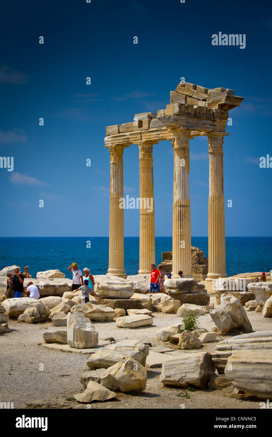 Side turkey hi-res stock photography and images - Alamy