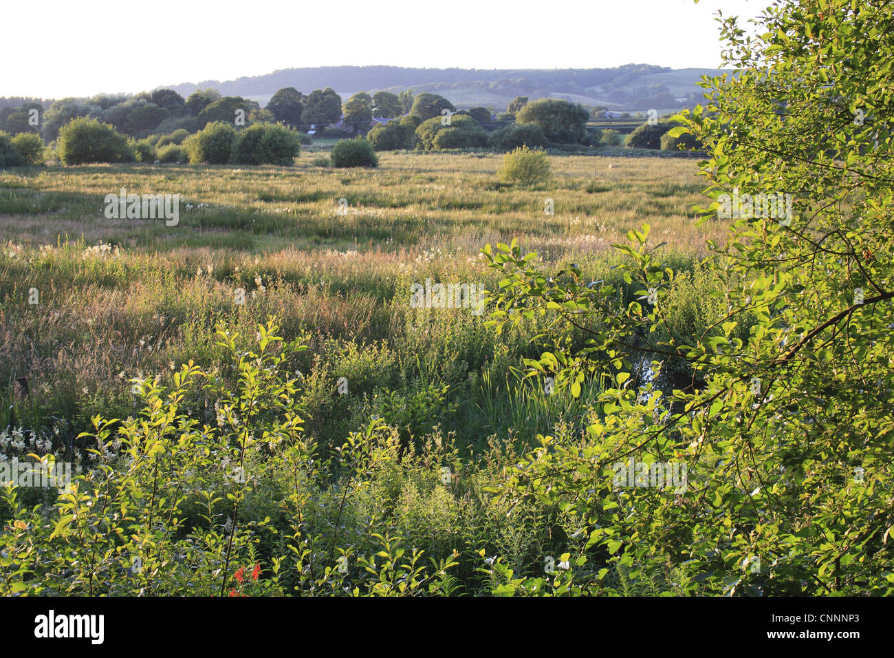 Alverstone wight hi-res stock photography and images - Alamy