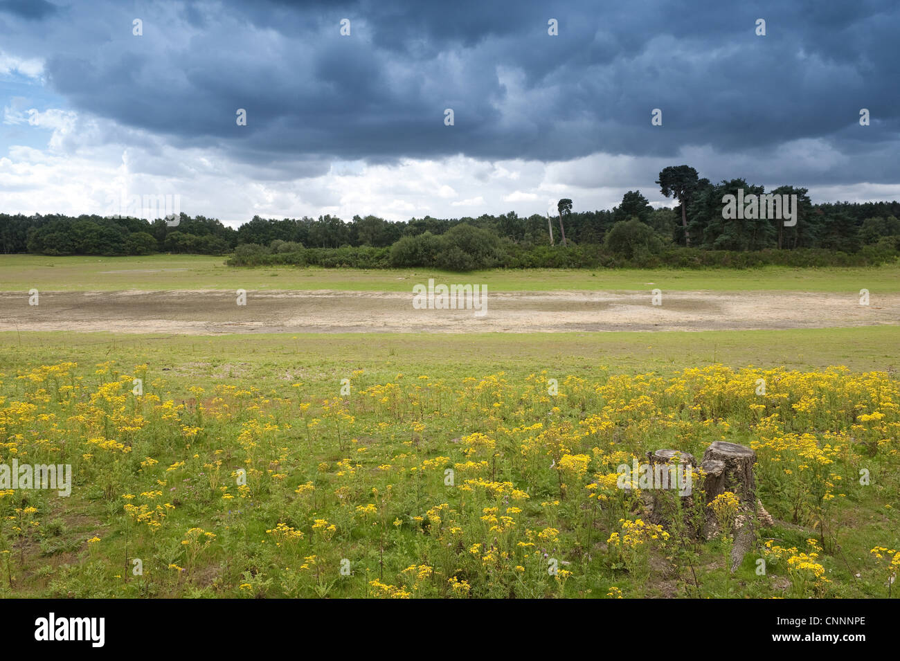 East Wretham High Resolution Stock Photography and Images - Alamy