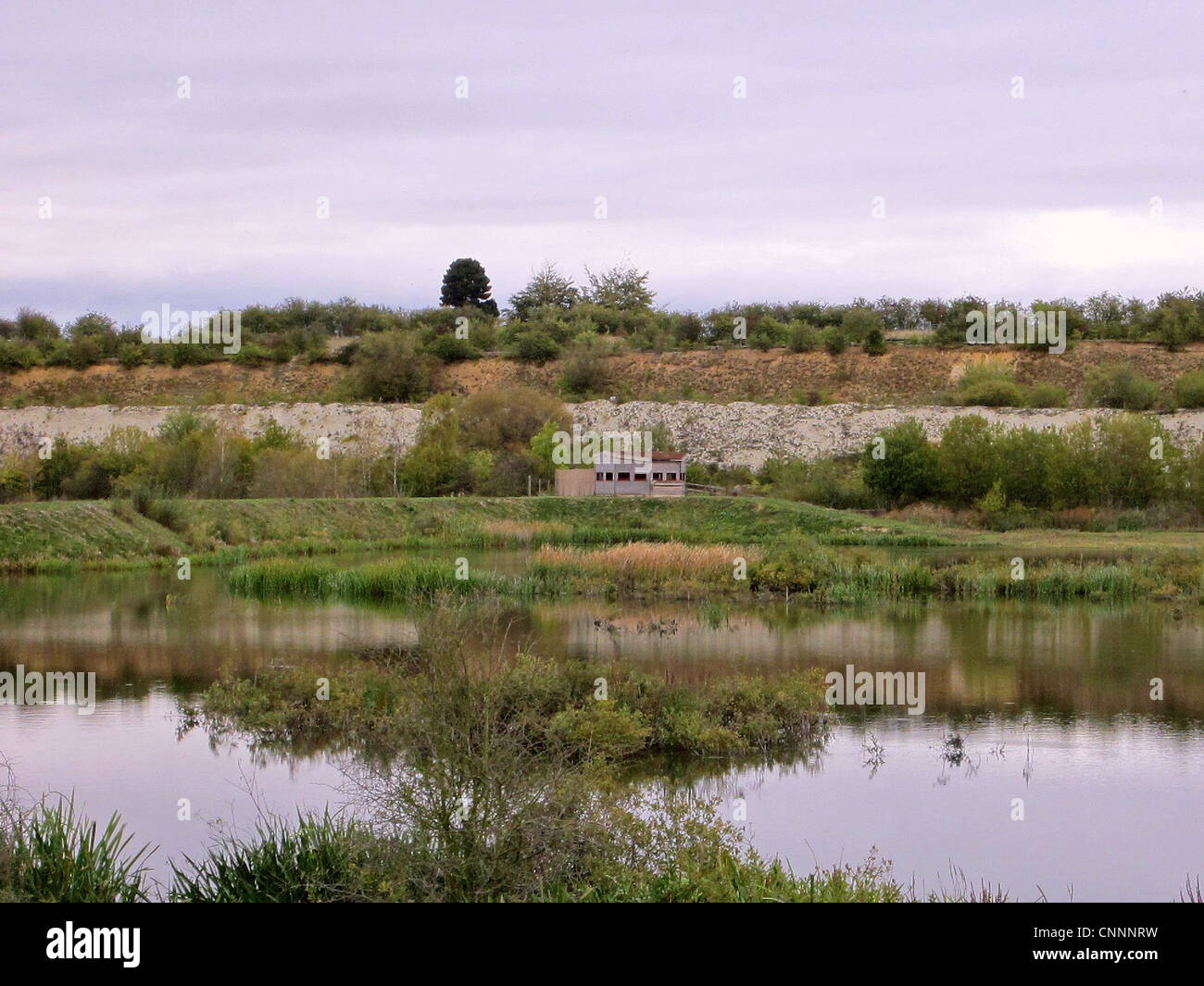 View of flooded former chalk quarry habitat, College Lake Nature ...