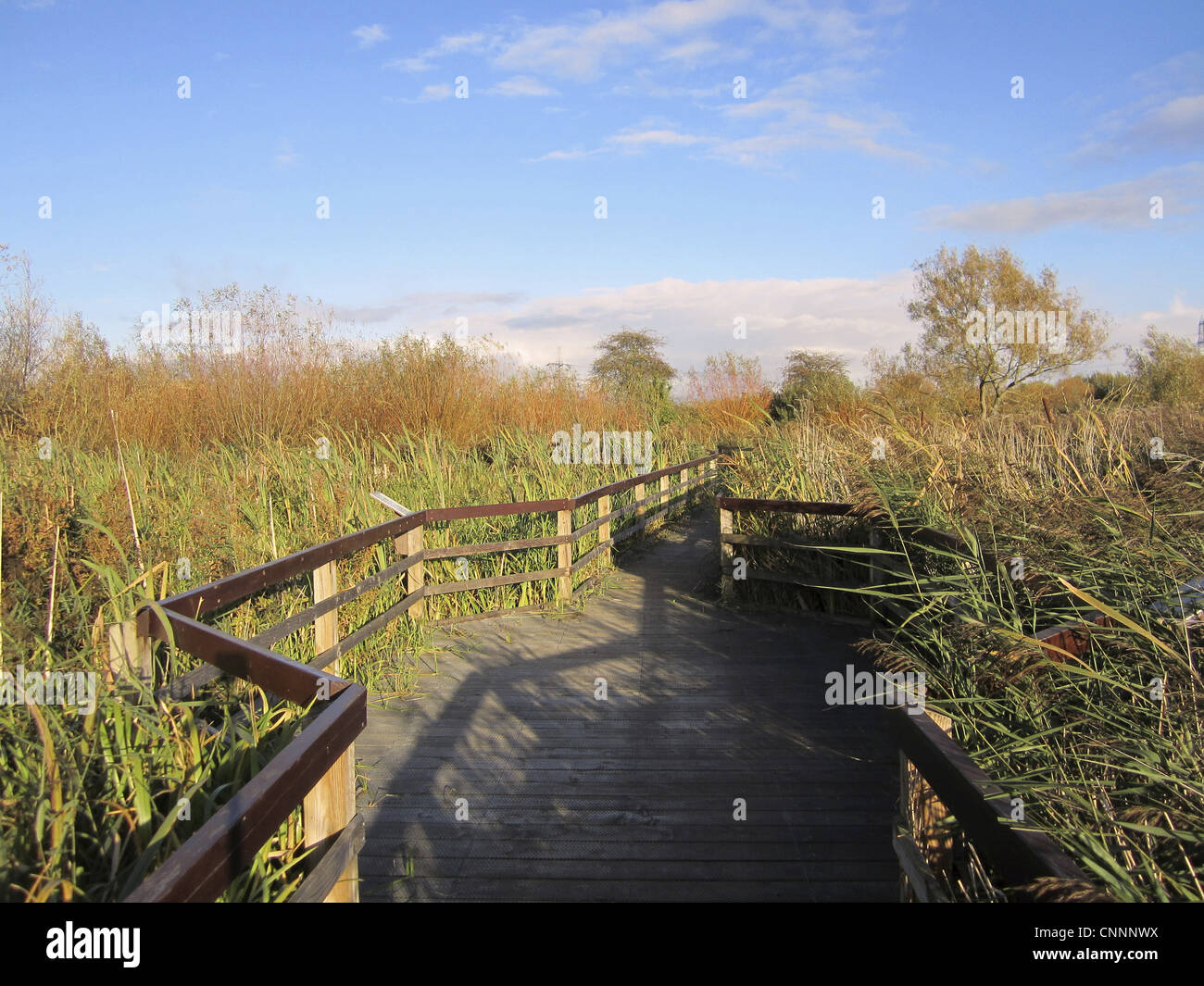 Rspb rye meads nature reserve hi-res stock photography and images - Alamy
