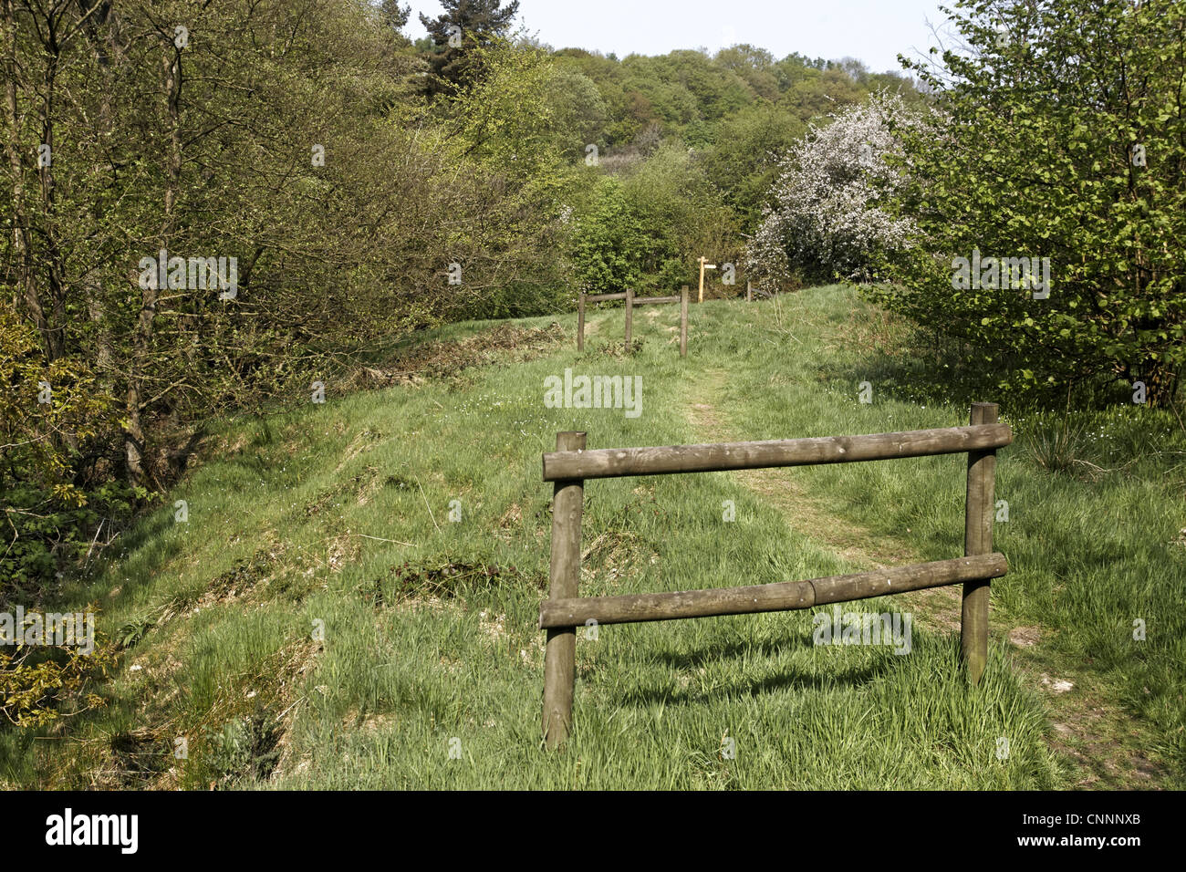 Pathway through woodland habitat, Coombes Valley RSPB Reserve ...