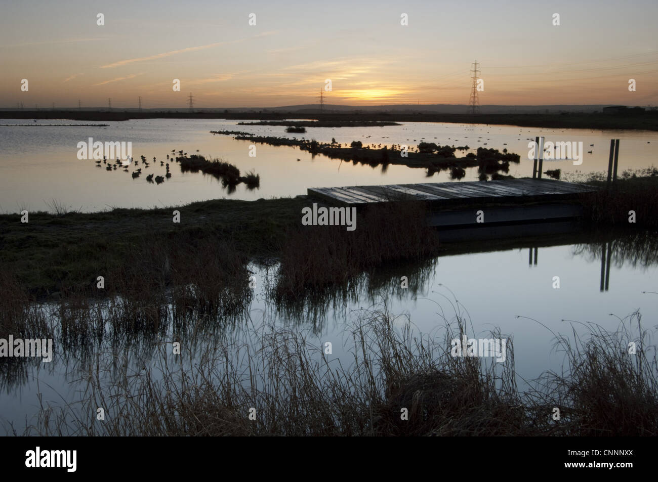 View of flooded wetland habitat at sunrise, Oare Marshes Nature Reserve ...