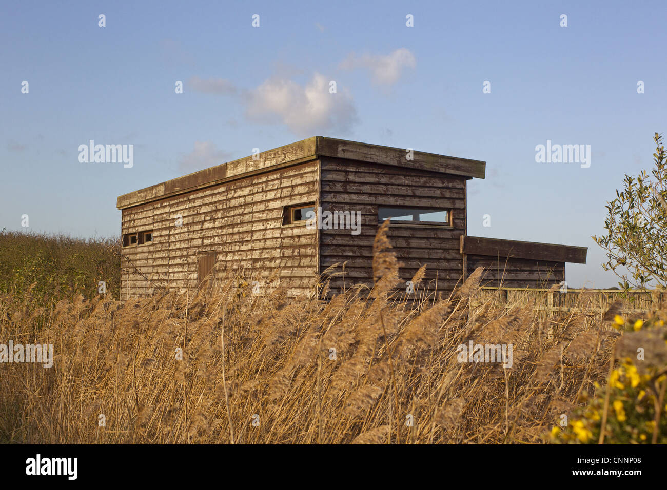 Rear view of South Hide, Minsmere RSPB Reserve, Suffolk, England ...
