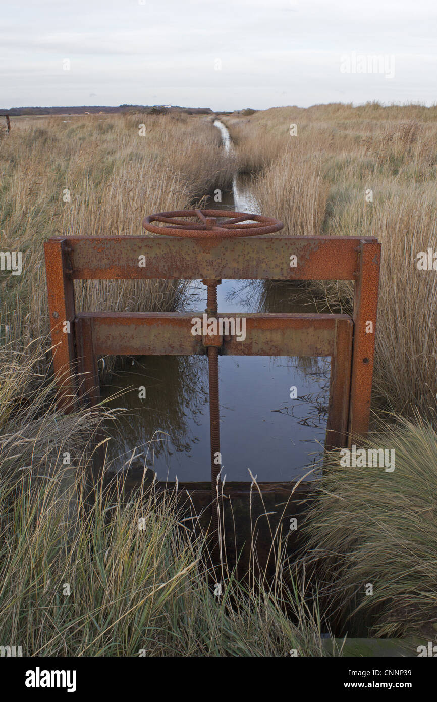 Reeds gate hi-res stock photography and images - Alamy