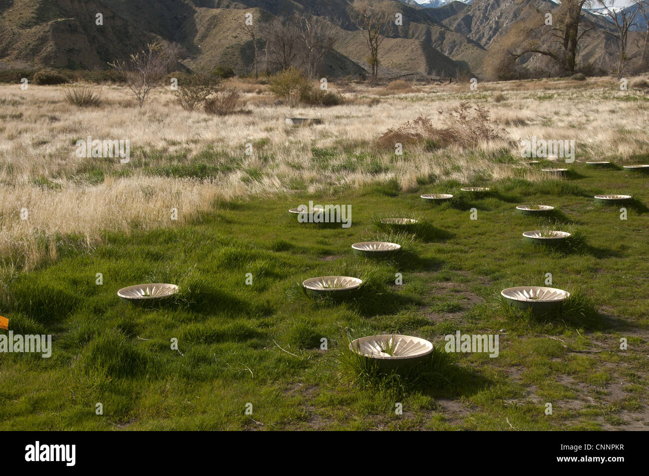 Groasis Waterboxx, plastic boxes designed to help grow trees in desert ...