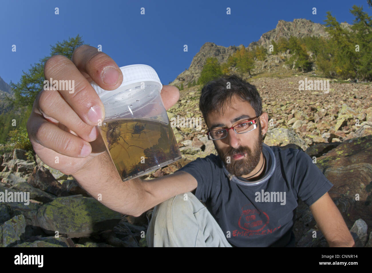 Arachnologist checking vinegar filled traps to catch spiders for study ...