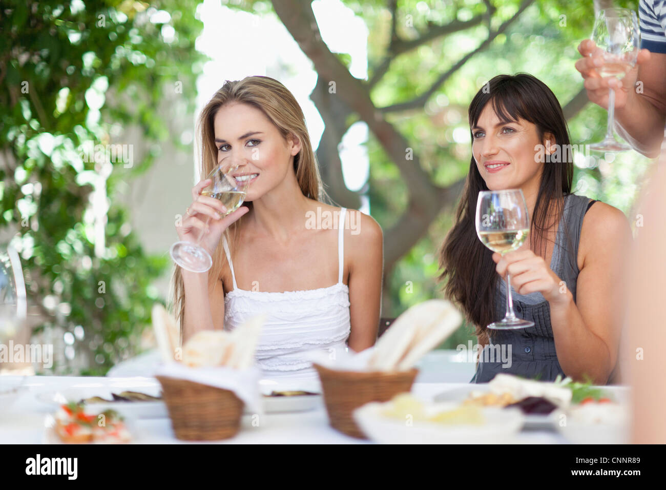 Two woman friends drinking wine posing hi-res stock photography and ...
