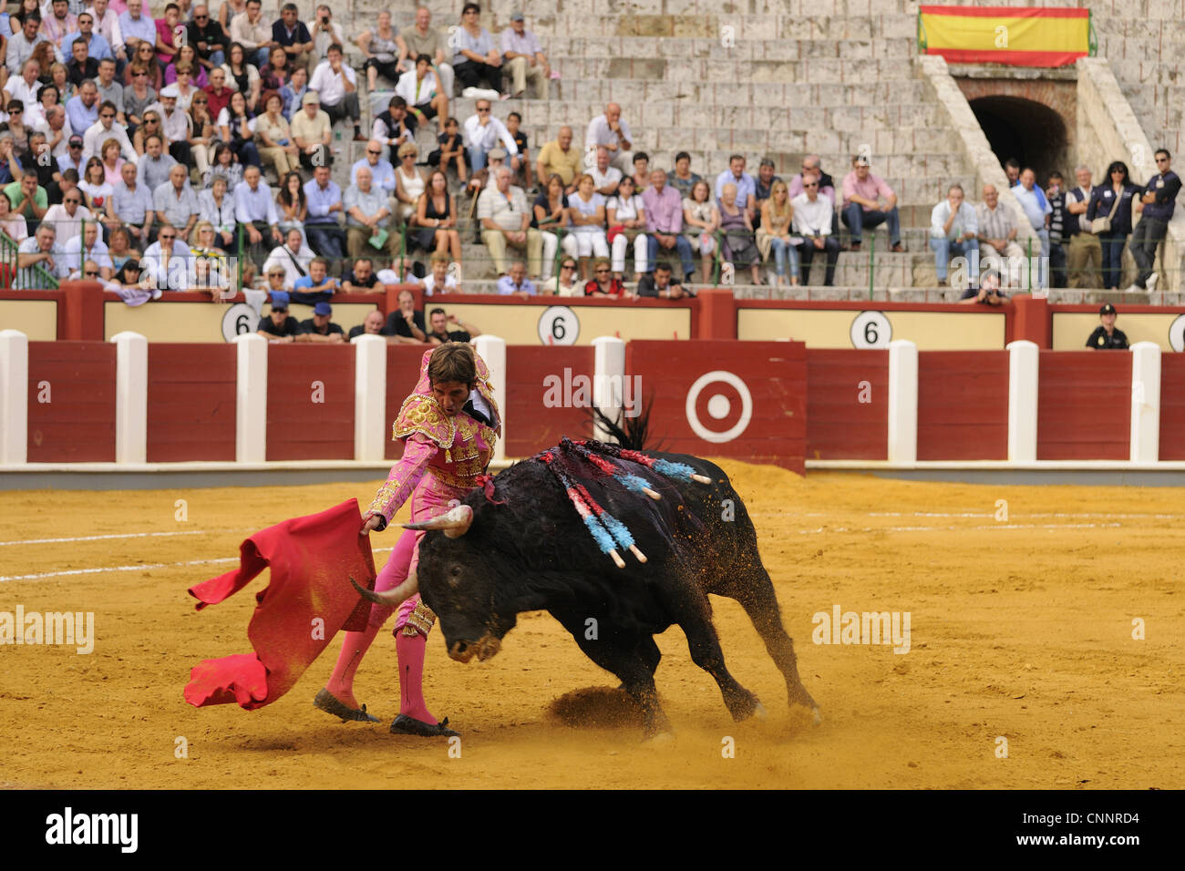 Muleta hi-res stock photography and images - Alamy