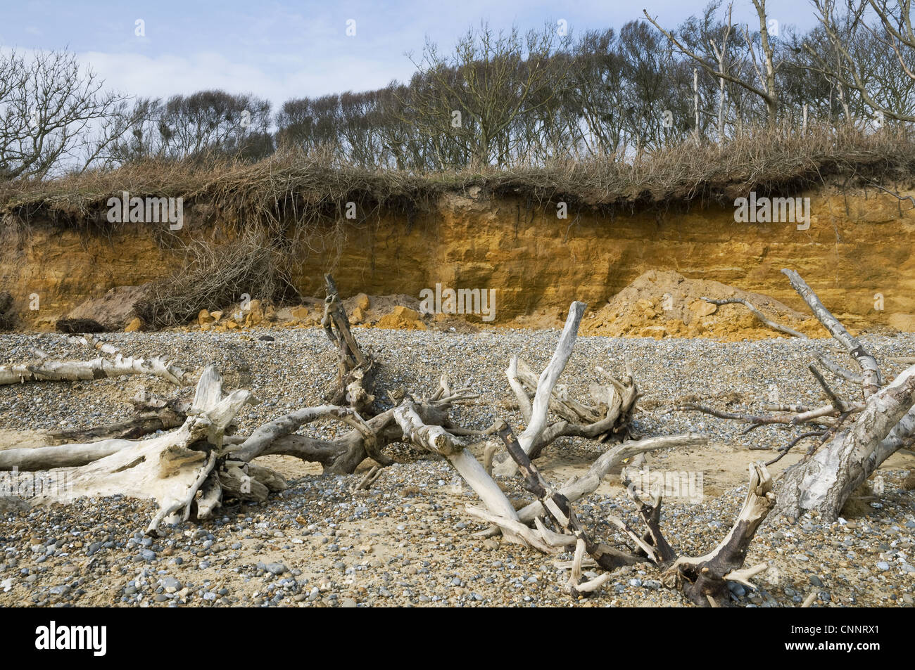 Benacre nature reserve hi-res stock photography and images - Alamy