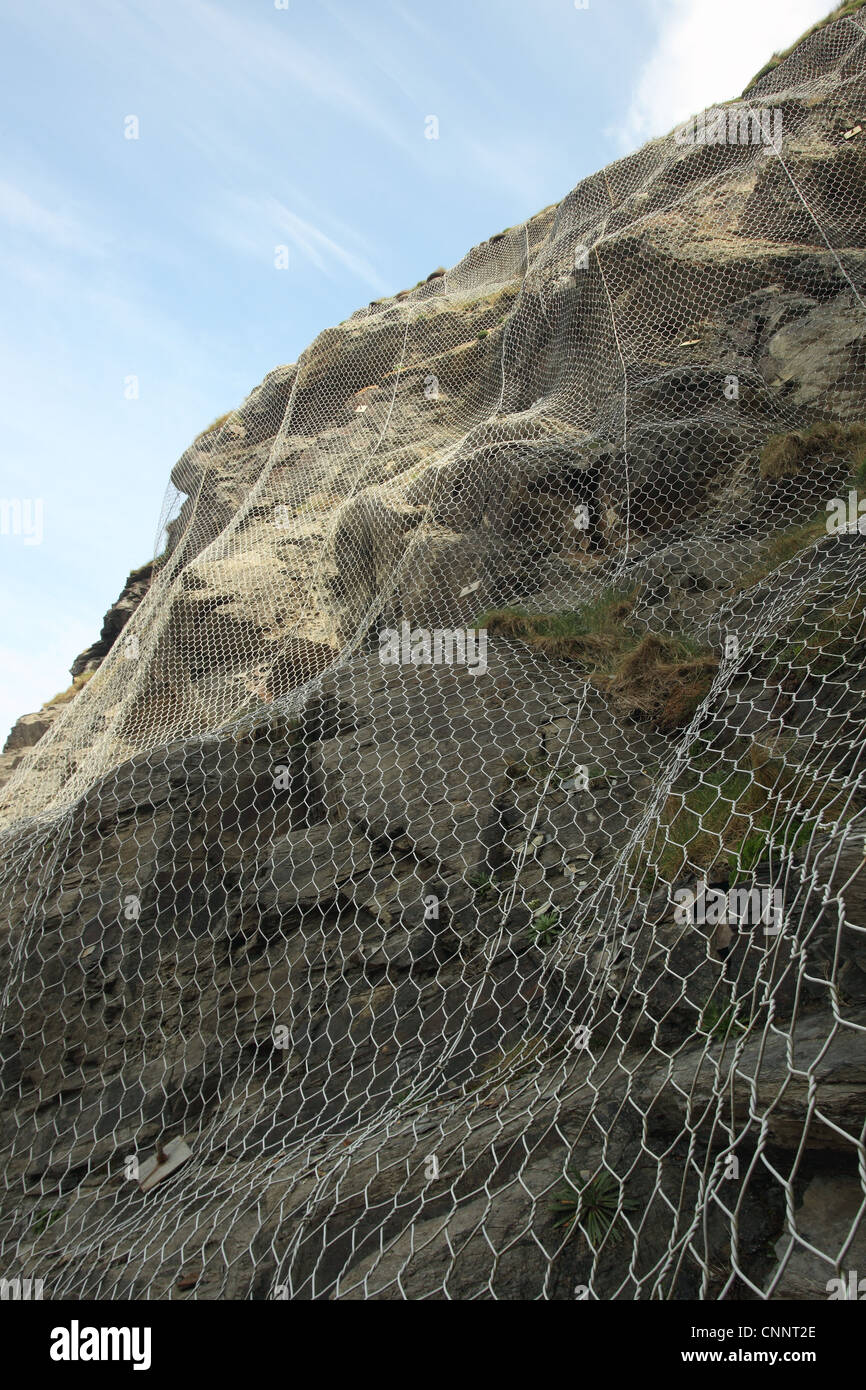 Wire netting used for sea cliff erosion defence, Cornwall, England ...