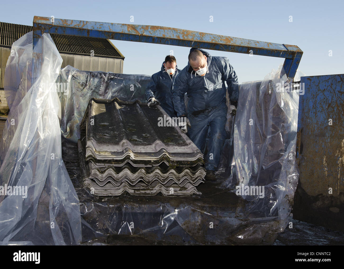 Workers removing agricultural building roofing sheets containing ...