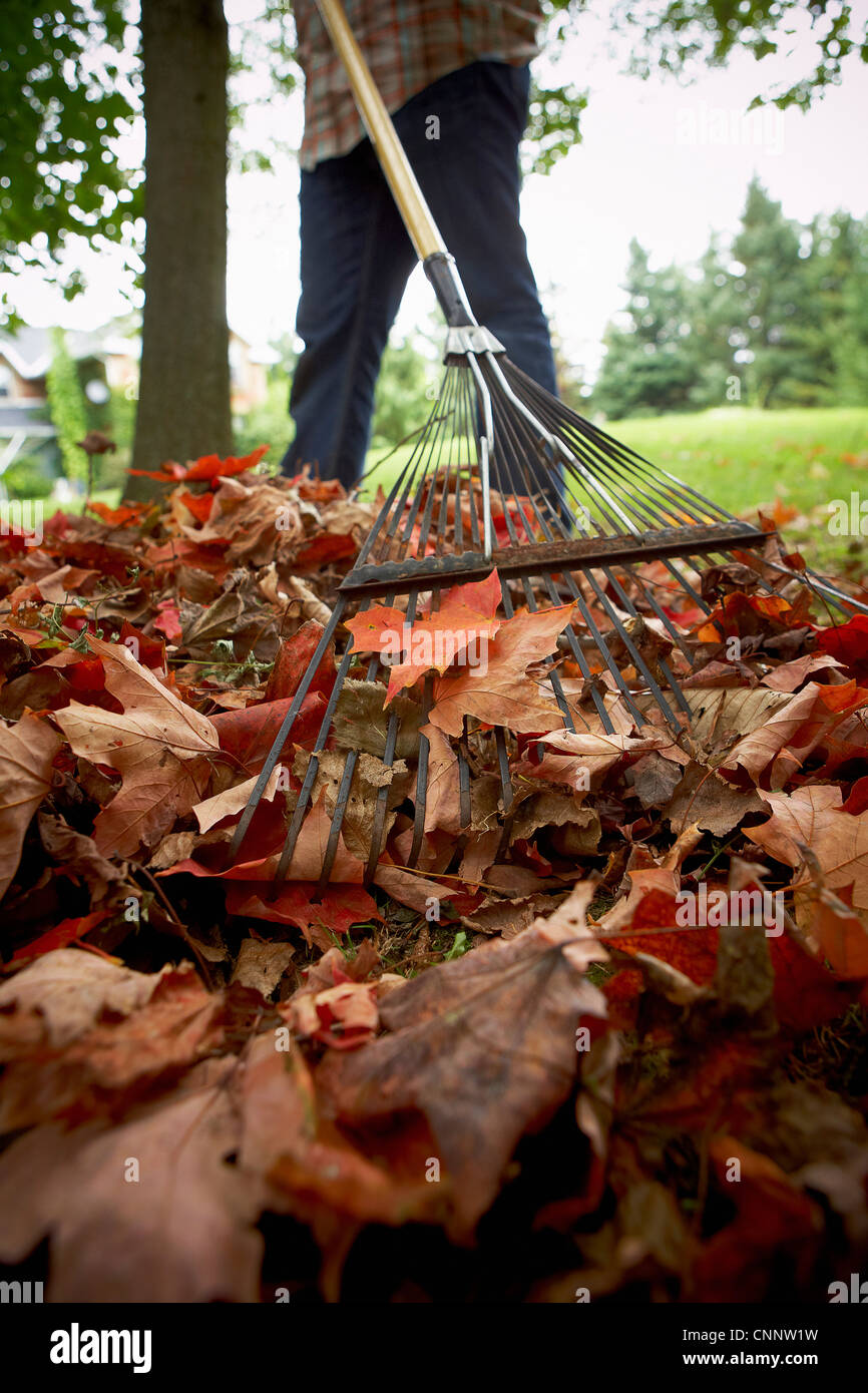 House fall someone raking leaves hi-res stock photography and images ...