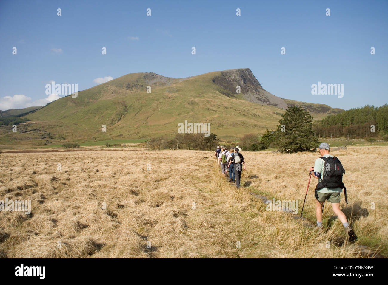 Group of walkers heading to Y Garn and Nantlle Ridge from Rhyd Ddu in ...