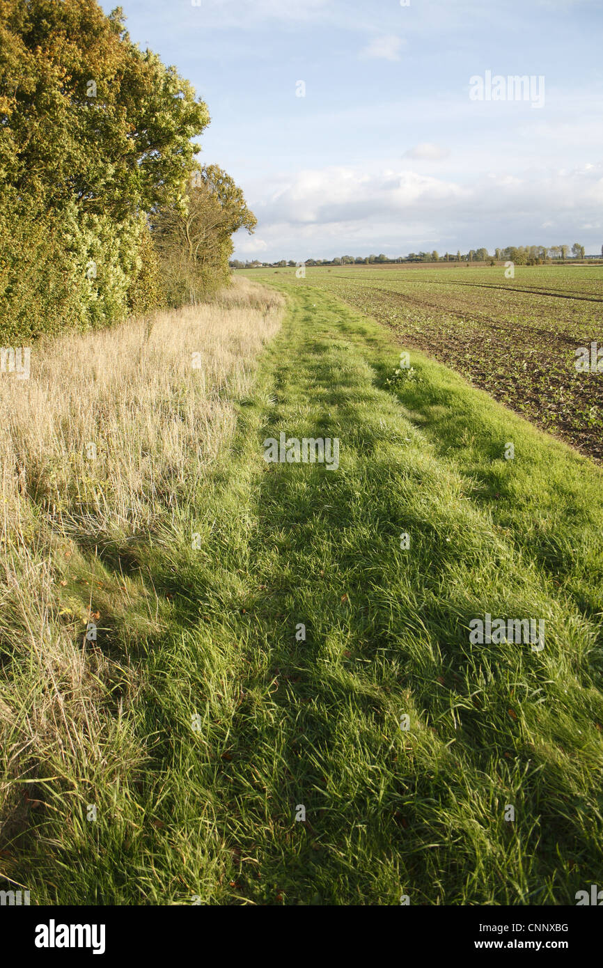 Set a side strip hi-res stock photography and images - Alamy