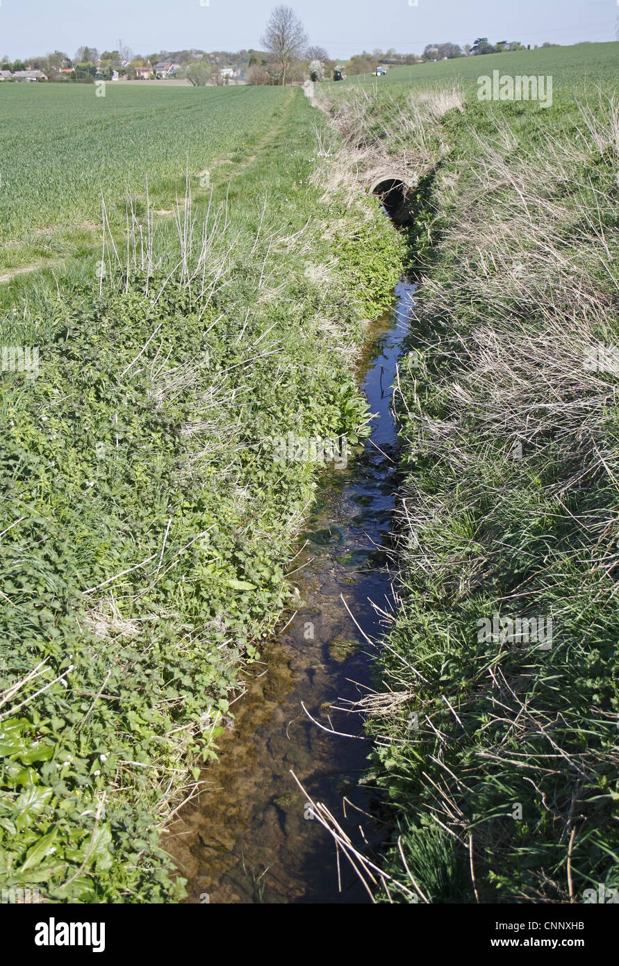 Water filled drainage ditch in arable farmland, Barking Tye, Suffolk ...