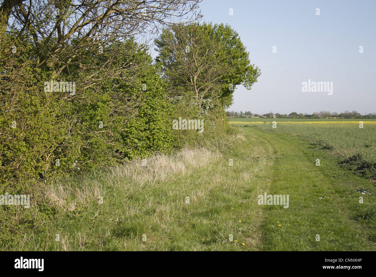 Set a side hi-res stock photography and images - Alamy