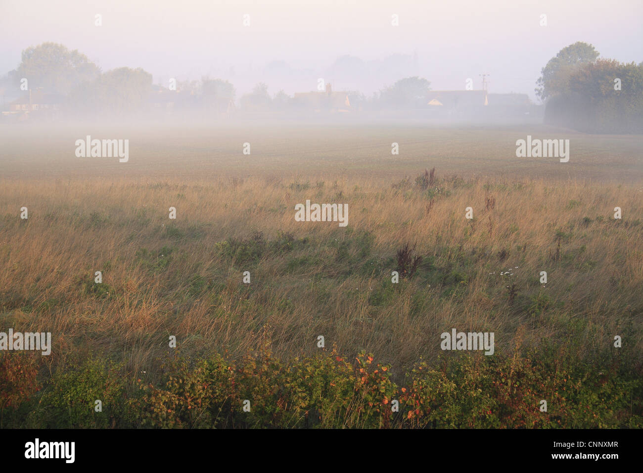 British field set hi-res stock photography and images - Alamy