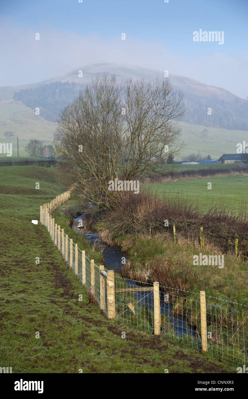 Stream flowing through pasture protected livestock new wire mesh ...