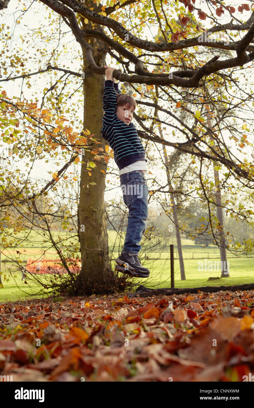 Boy playing on tree outdoors Stock Photo - Alamy