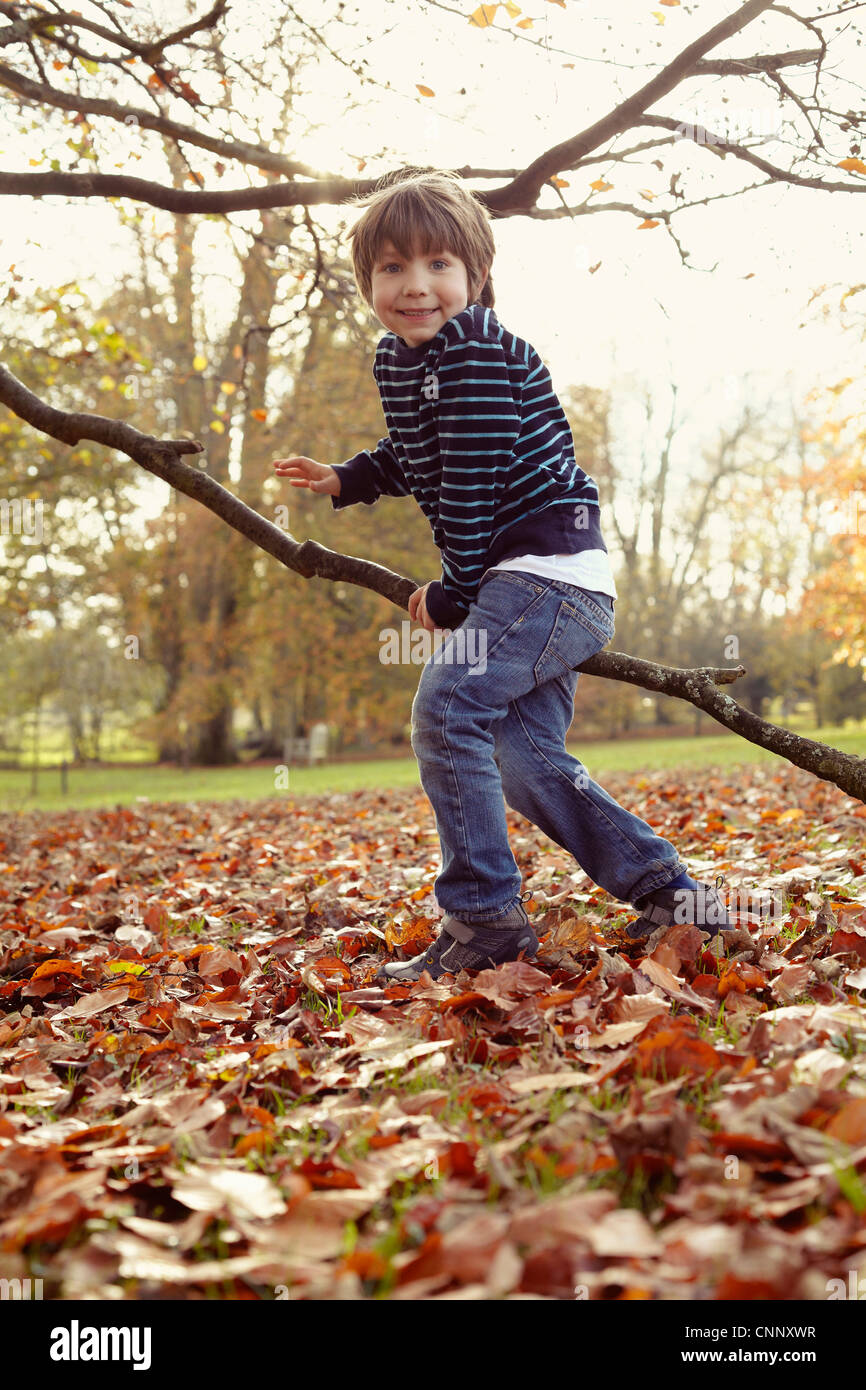 Boy playing on tree outdoors Stock Photo - Alamy