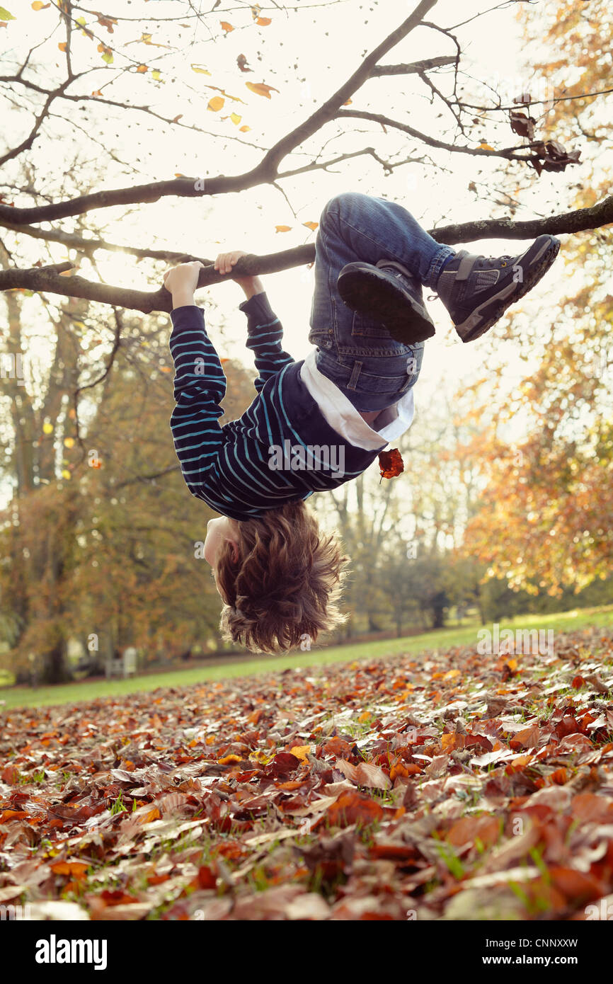 Boy playing on tree outdoors Stock Photo - Alamy
