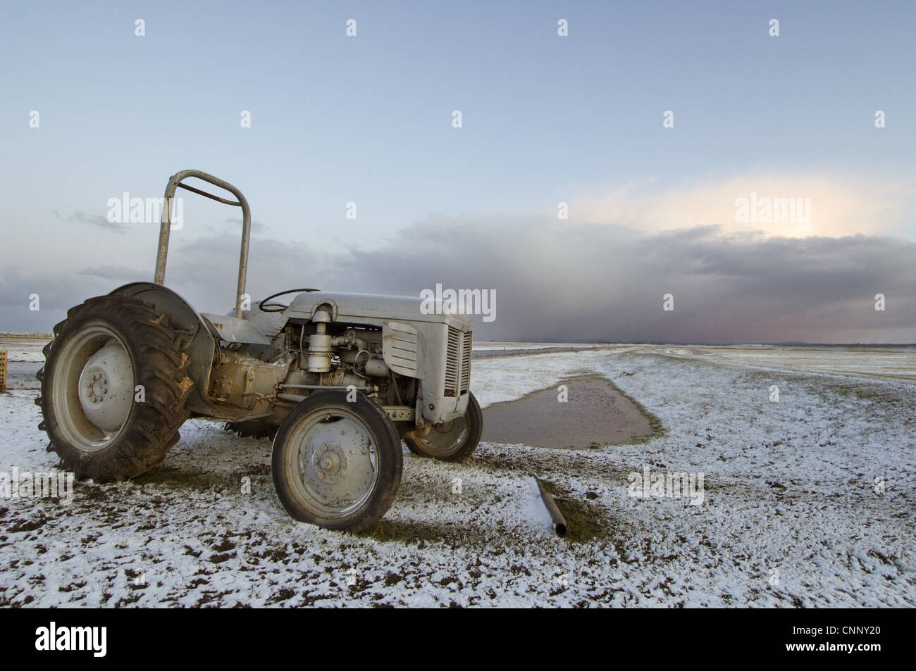 Ferguson TE20 'Little Grey Fergie' tractor snow covered grazing marsh ...