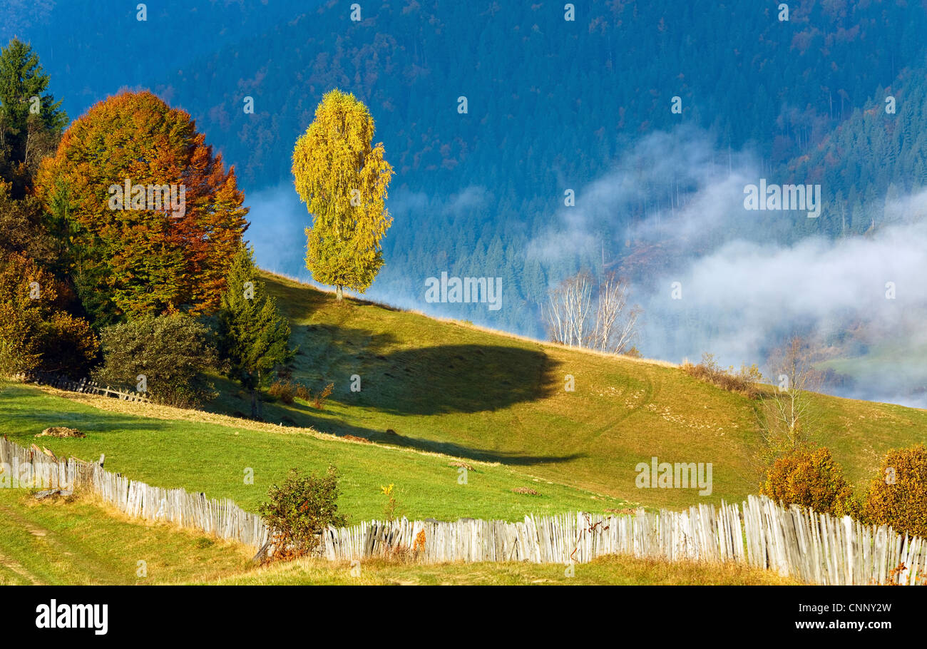 Sunny autumn mountain and colorful trees on mountainside Stock Photo ...