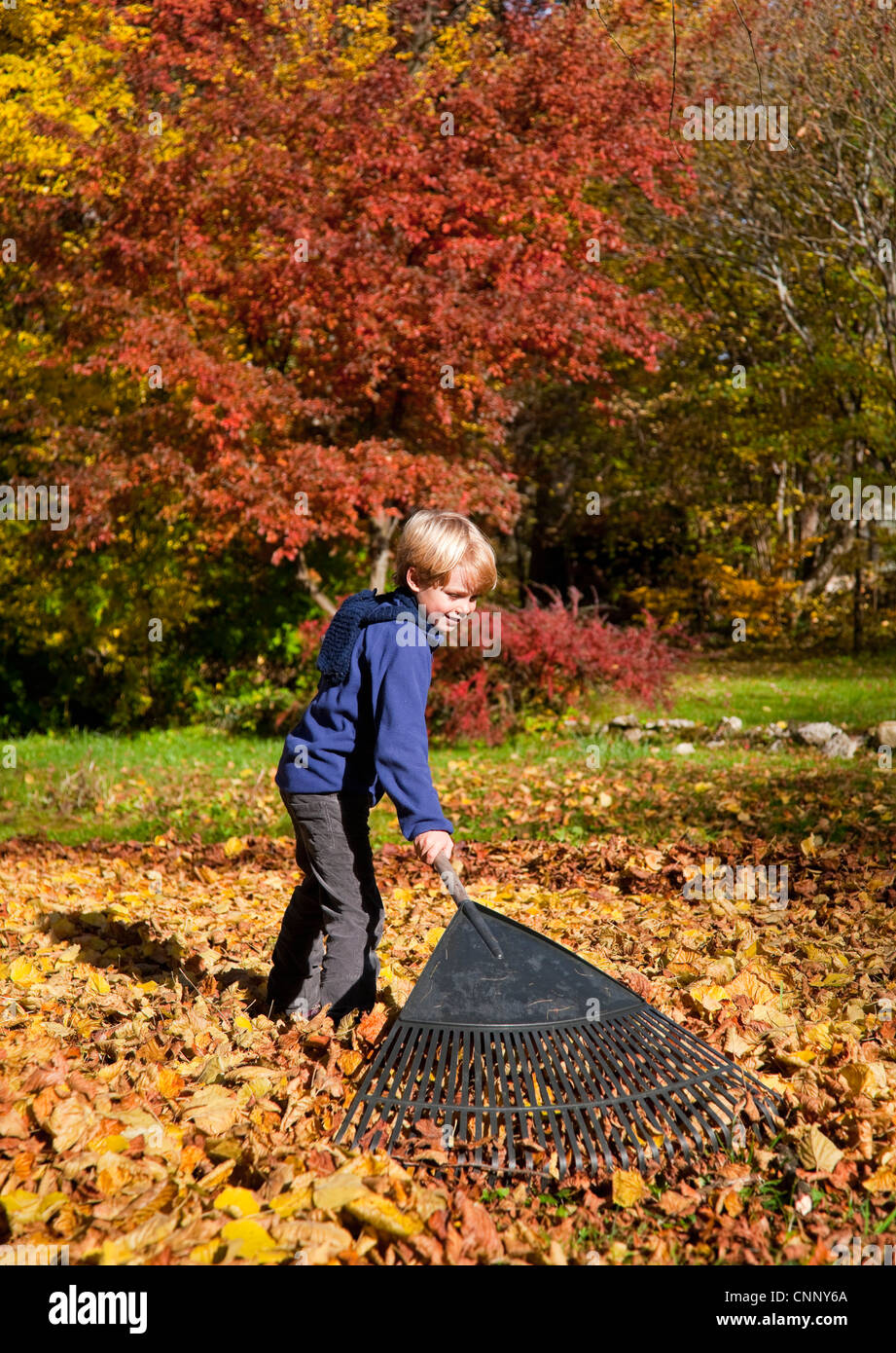 Child Raking Leaves Stock Photos & Child Raking Leaves Stock Images - Alamy