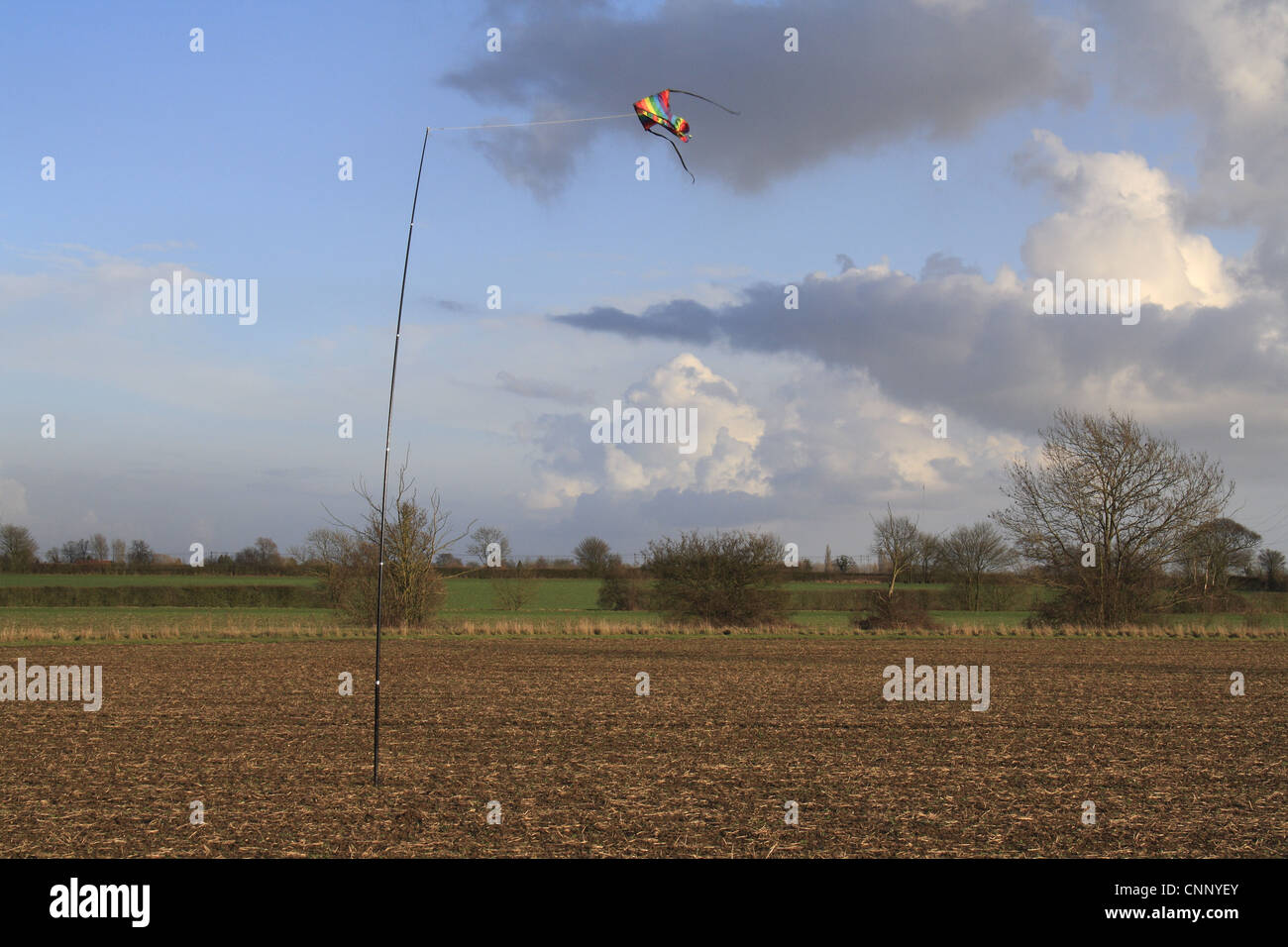 Bird scarer bird scaring hi-res stock photography and images - Alamy