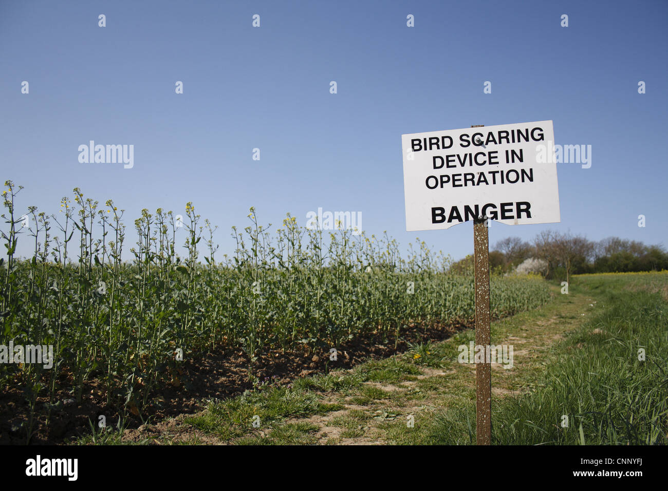 Bird Scaring Device Operation Banger' sign warning gas-gun gas powered ...