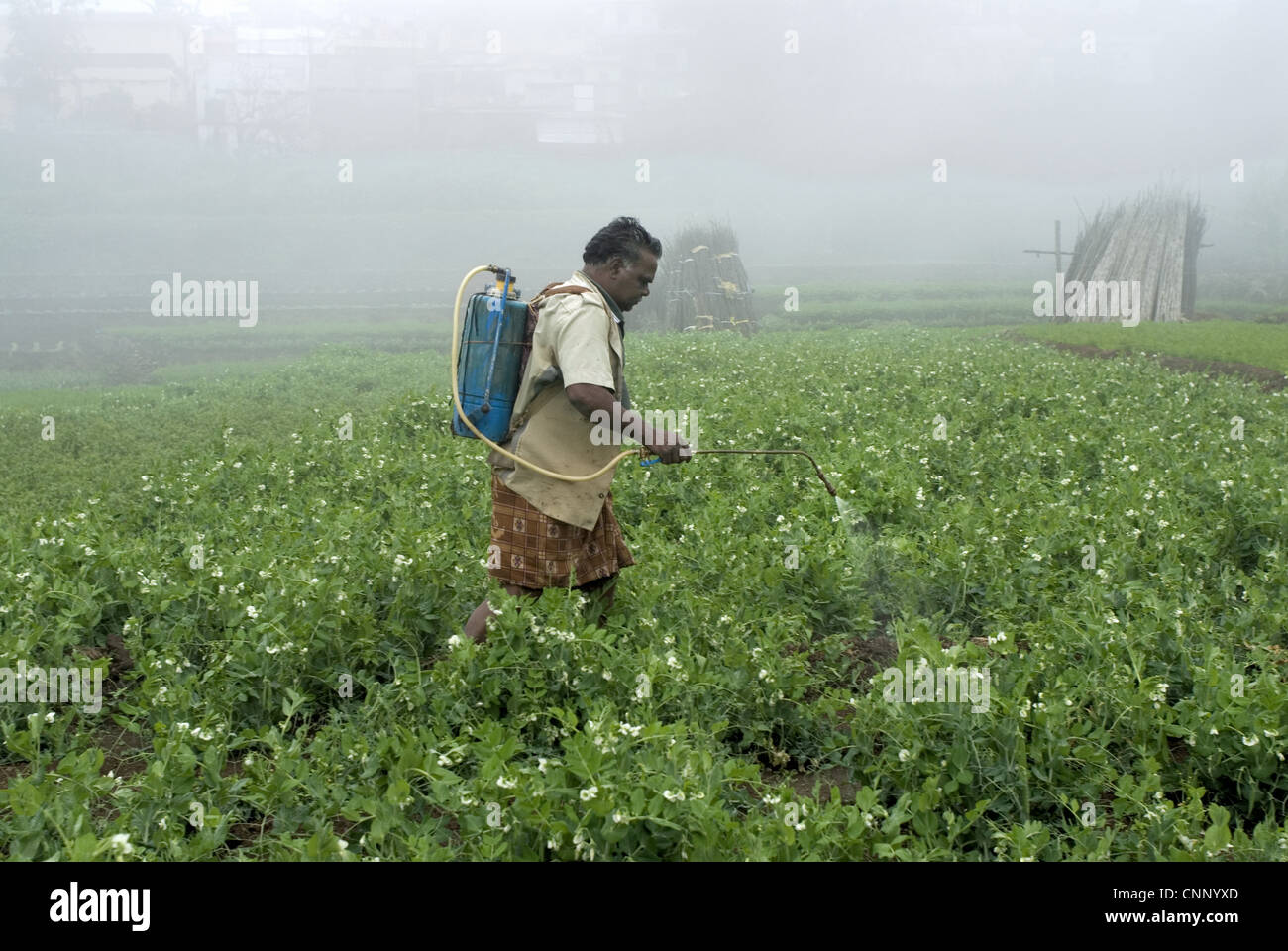 Knapsack sprayer hi-res stock photography and images - Alamy