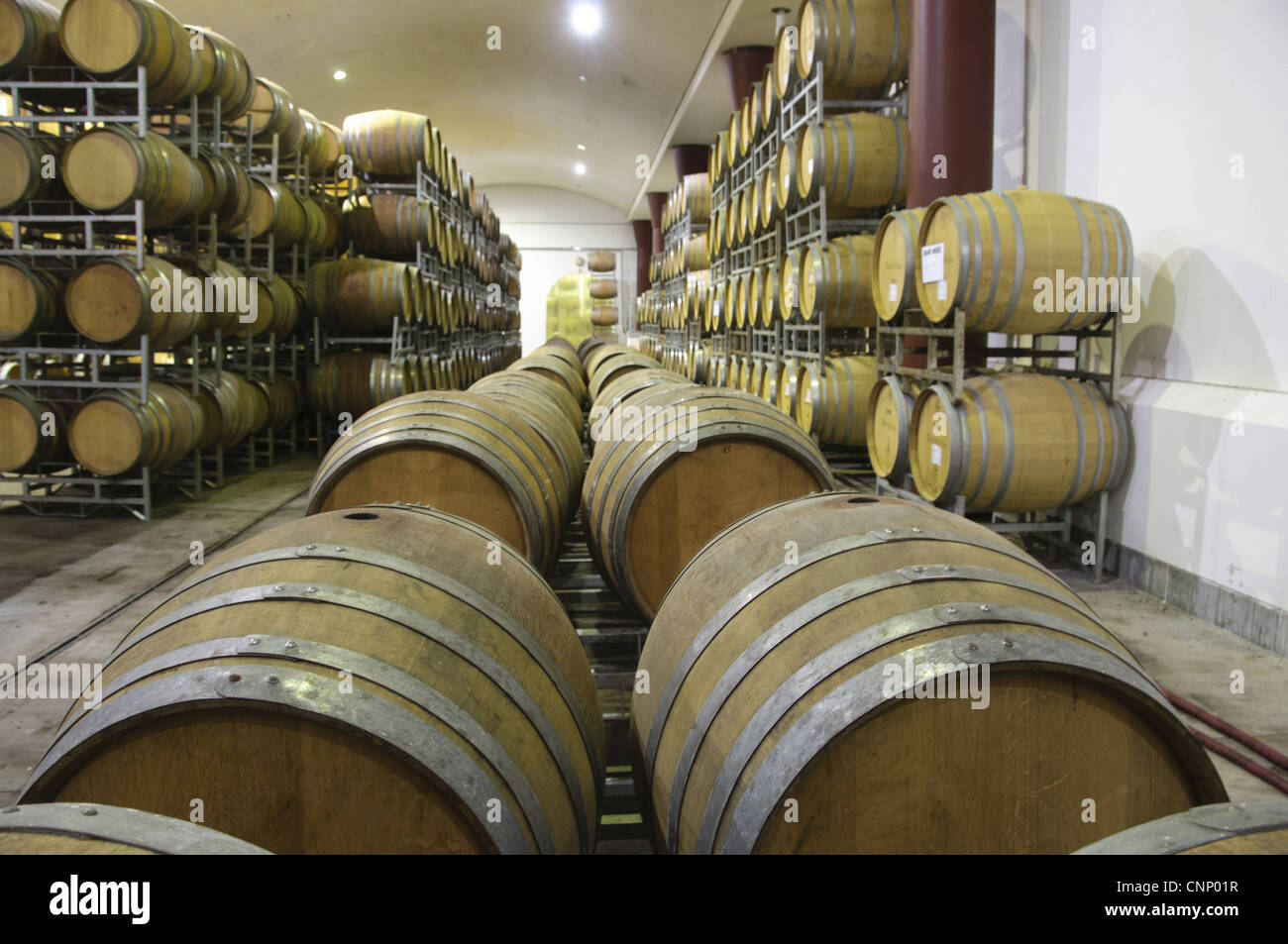 Vineyards south africa cask hi-res stock photography and images - Alamy