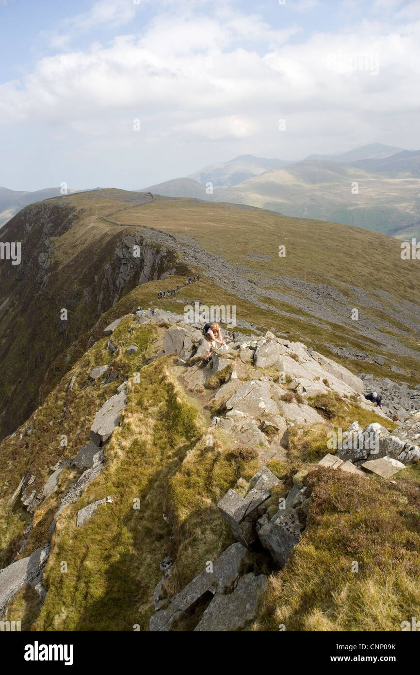 Group of ramblers climbing along the Nantlle Ridge in Snowdonia in ...