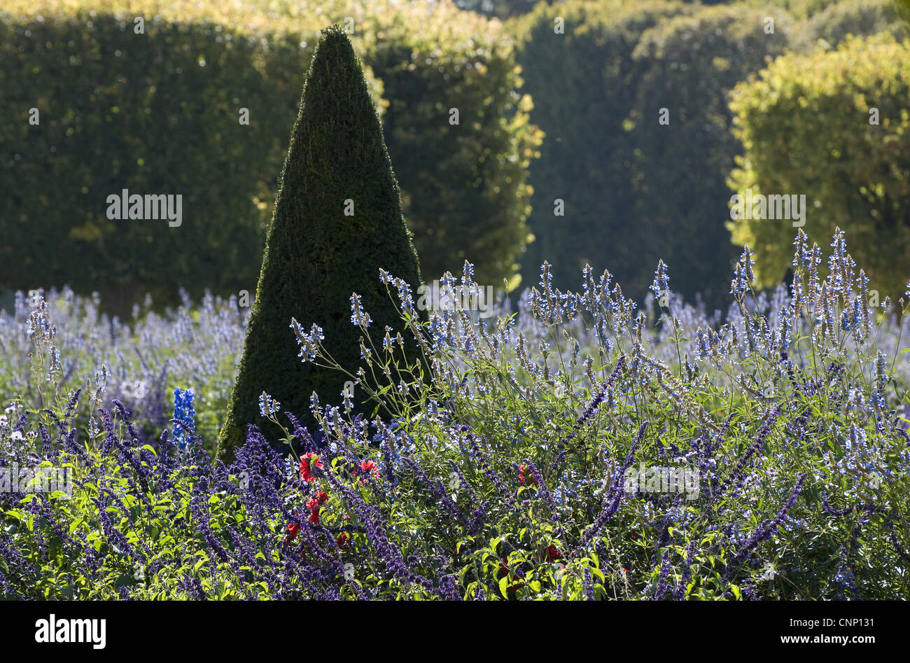 Versailles gardens topiary hi-res stock photography and images - Alamy